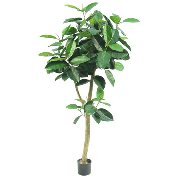 155cm Potted Faux Rubber Tree | Temple & Webster