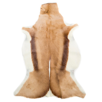 All Natural Hides and Sheepskins Natural Springbok Hide | Temple & Webster