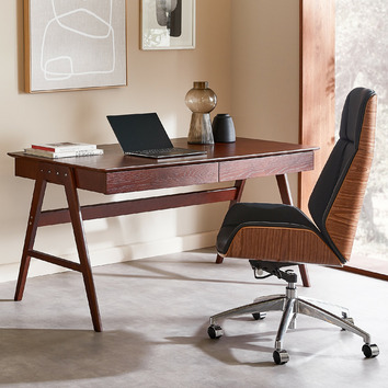 Temple & Webster Torsby Office Writing Desk & Bentwood Chair Set