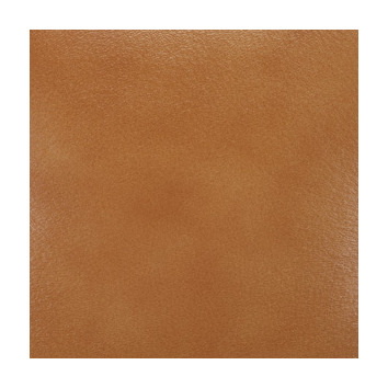 Temple & Webster Tan