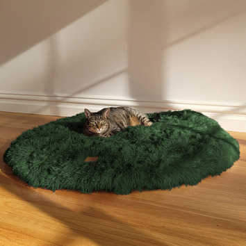 CharliesPetProduct Eden Green Shaggy Faux Fur Round Pet Mat | Temple ...
