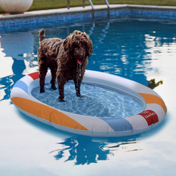CharliesPetProduct Beach Ball Dog Float | Temple & Webster