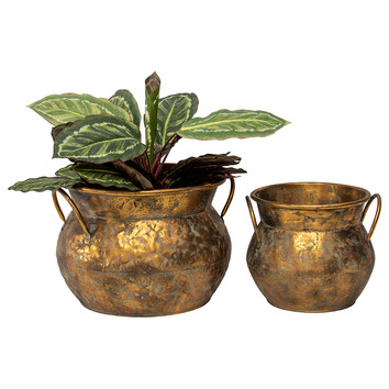 High St. 2 Piece Maraba Iron Plant Pot Set | Temple & Webster