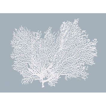 BeachLane Light Blue Coral Printed Wall Art & Reviews | Temple & Webster