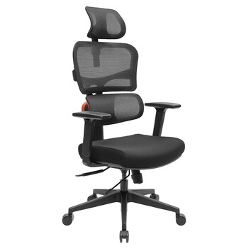 Eureka OC12 Pro Office Chair | Temple & Webster