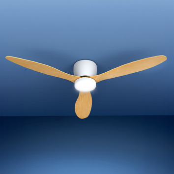 Hagan 132cm DC Ceiling Fan with Light | Temple & Webster
