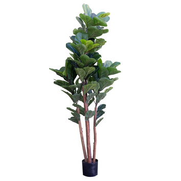180 Potted Faux Fiddle Tree | Temple & Webster