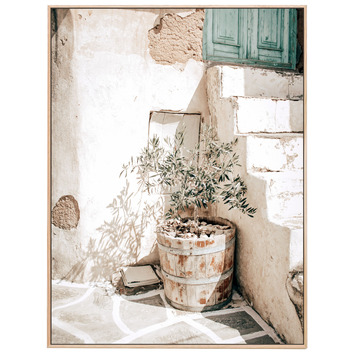 Olive Tree Framed Canvas Wall Art | Temple & Webster