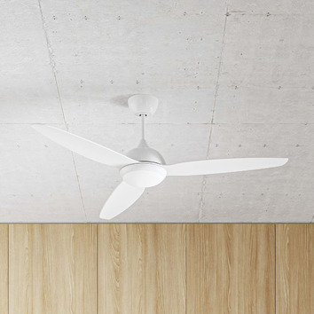 Whisper DC Ceiling Fan with LED | Temple & Webster