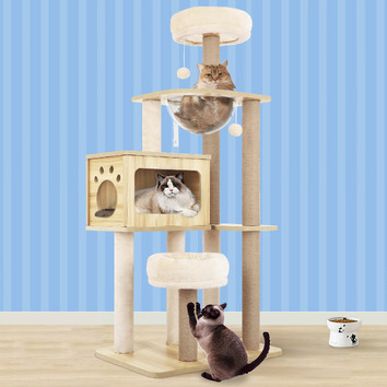 144cm Bela Cat Tree | Temple & Webster