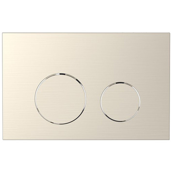 ADP SS Dual Flush Plate | Temple & Webster