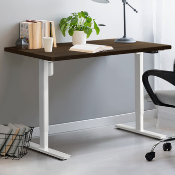 Hodgkin 150cm Single Motor Sit & Stand Desk | Temple & Webster