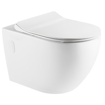 Raul Rimless Wall Hung Toilet Pan | Temple & Webster