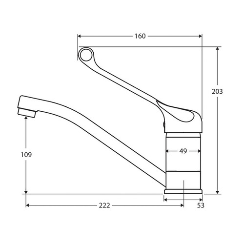 Fienza Stella Care Kitchen Sink Mixer | Temple & Webster