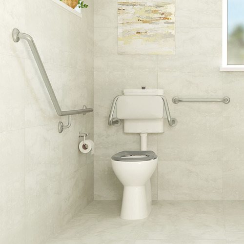 Accessible Stainless Steel Toilet Back Rest | Temple & Webster