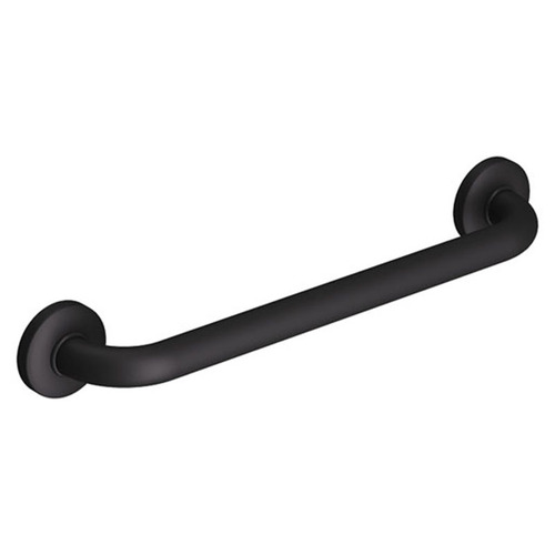 Accessible 450mm Stainless Steel Grab Rail | Temple & Webster