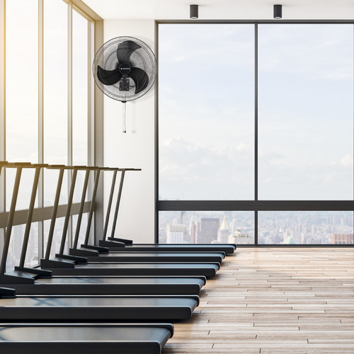 Liteworks 50cm Arena Wall Fan | Temple & Webster