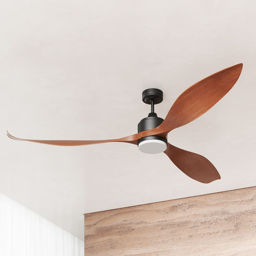 Liteworks Eagle XL DC Ceiling Fan with LED & Remote Control | Temple ...