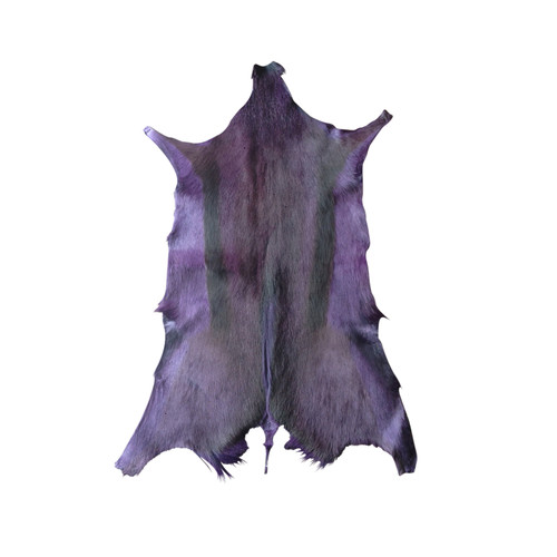 Tribal Expressions Springbok Dyed Hide | Temple & Webster