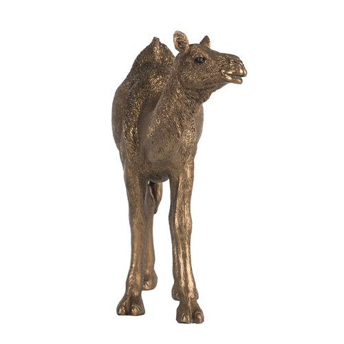 Camel Polyresin Statue | Temple & Webster