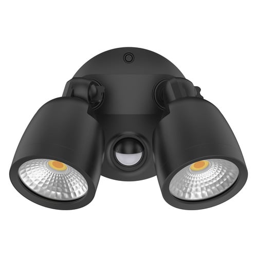 Globe_Luxe_Lighting Farah 2 Light Security | Temple & Webster