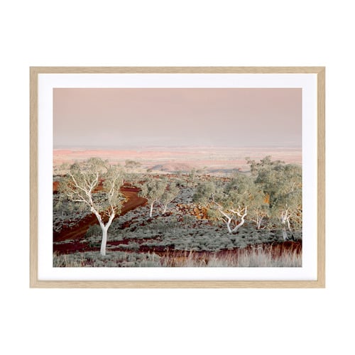 Alcove Studio Pilbara Framed Printed Wall Art | Temple & Webster