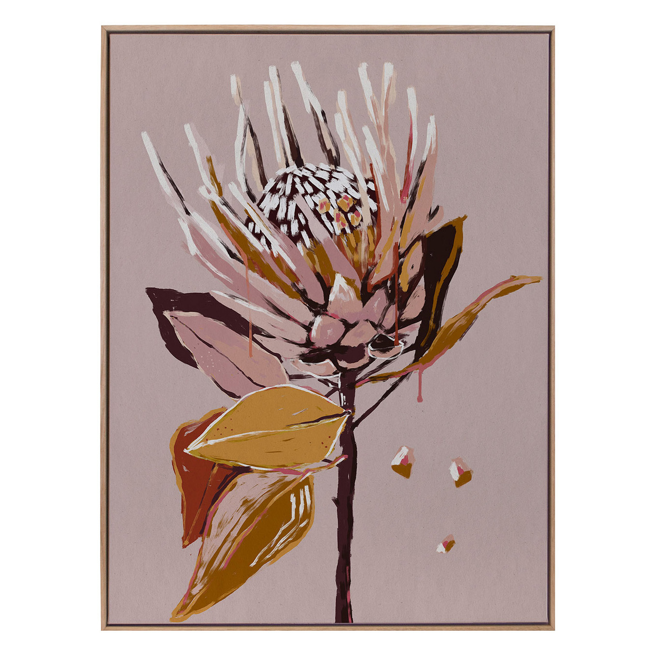 Alcove Studio Blush Protea Canvas Wall Art | Temple & Webster
