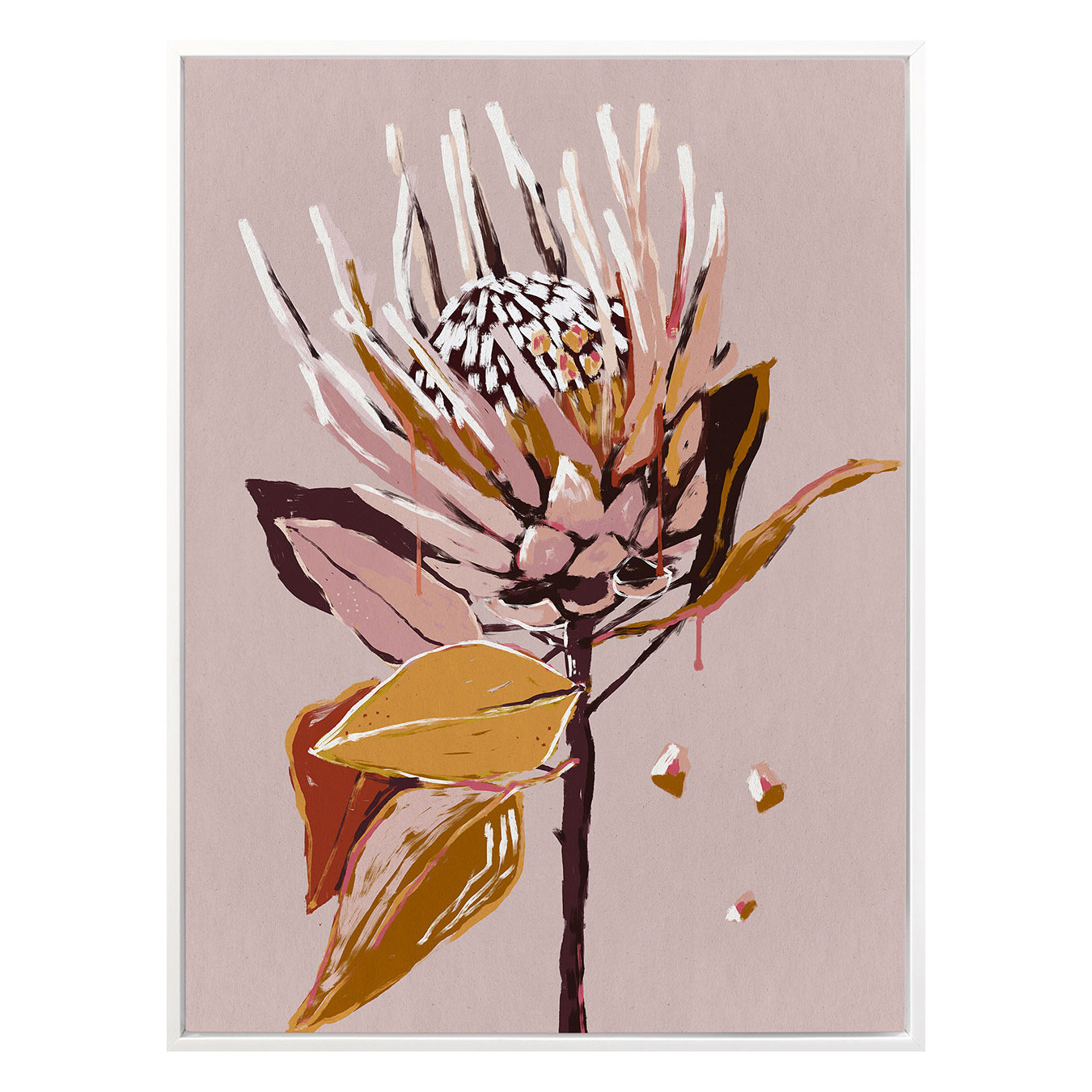 Alcove Studio Blush Protea Canvas Wall Art | Temple & Webster