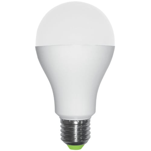 E27 Pear 15W LED Bulb | Temple & Webster