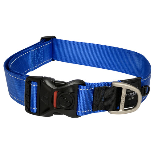 Blue Classic Collar | Temple & Webster