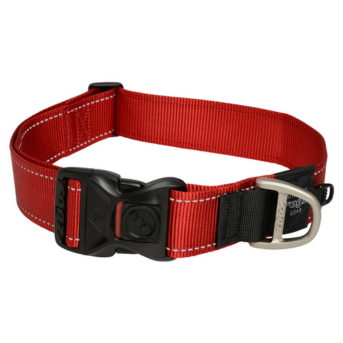 Red Classic Collar | Temple & Webster