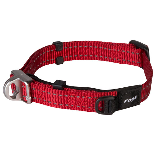 Red Safety Collar | Temple & Webster