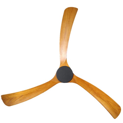 Fanco Fanco Sanctuary DC 178cm Ceiling Fan with Remote Control | Temple ...