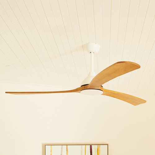 Fanco Fanco Sanctuary DC 178cm Ceiling Fan with Remote Control | Temple ...