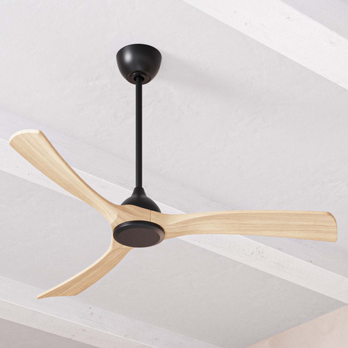 Fanco Fanco Sanctuary DC 132cm Ceiling Fan with Remote Control | Temple ...