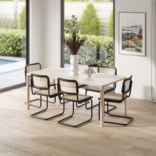 Continental Designs Axel Dining Chairs | Temple & Webster