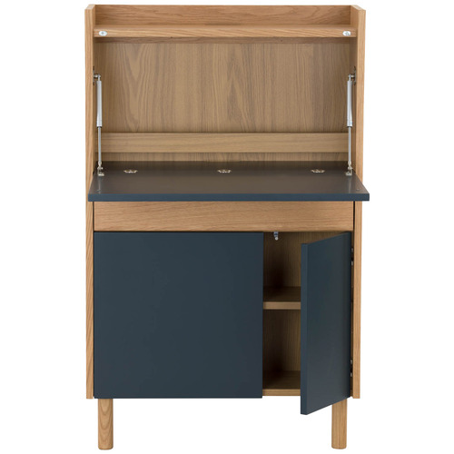 InnovaStudio Blue & Natural Barry Wall-Mounted Study Desk | Temple ...