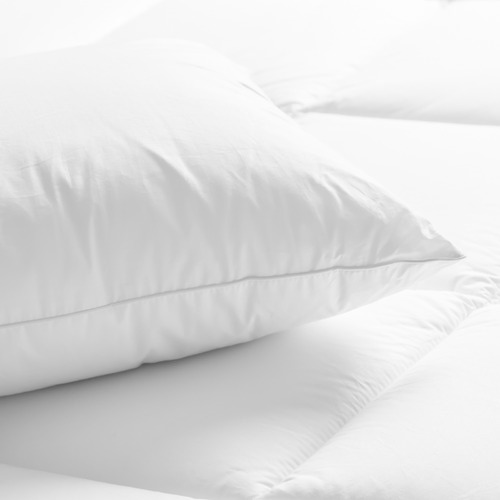 Chiswick Living Twin Pack Duck Feather & Down Pillows | Temple & Webster