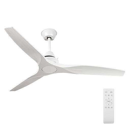 BraxtonHome Evelina 132cm DC Ceiling Fan with Remote Control | Temple ...