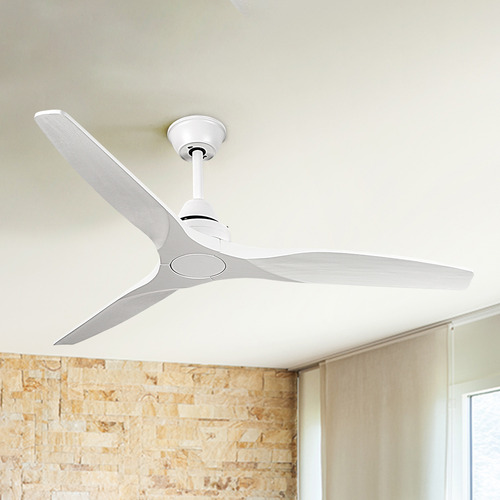 BraxtonHome Evelina 132cm DC Ceiling Fan with Remote Control | Temple ...