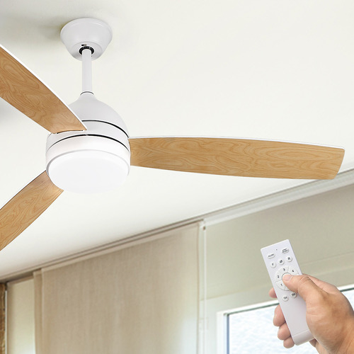 BraxtonHome Baptiste 132cm DC Ceiling Fan with Light | Temple & Webster
