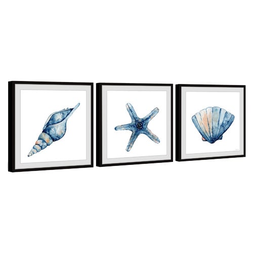 GalerieArtCo 3 Piece Starfish & Shells Framed Printed Wall Art Set ...