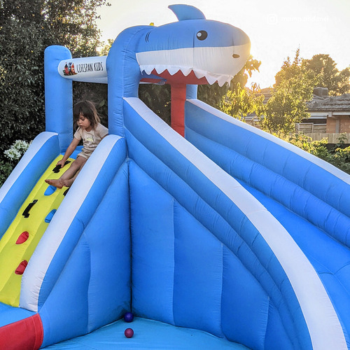Shark Slide & Splash Inflatable | Temple & Webster