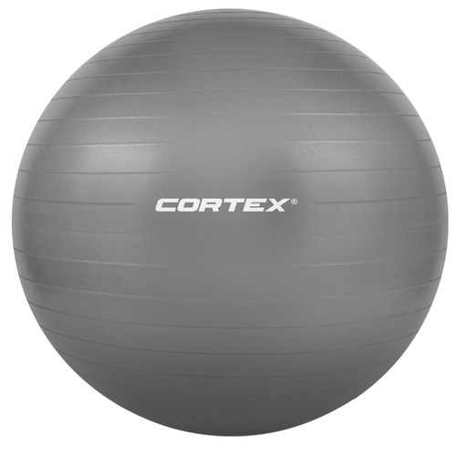 Red Star Fitness Cortex Grey Fitness Ball | Temple & Webster
