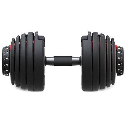 Red Star Fitness Adjustable Dumbbell | Temple & Webster