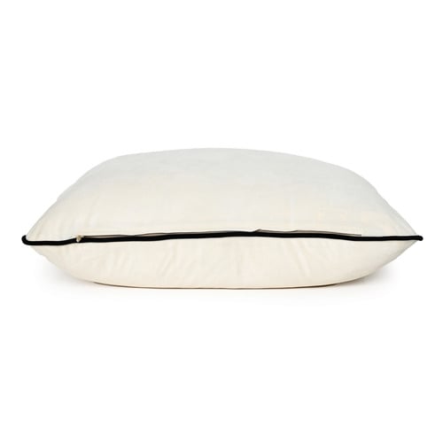 Roche Rectangular Velvet Cushion | Temple & Webster
