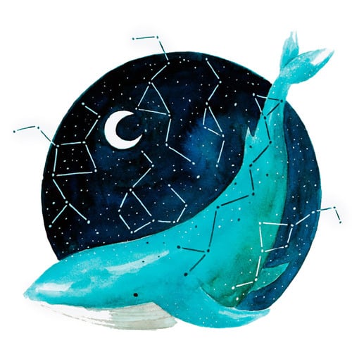 BambinoDecals Cosmic Whale Wall Decal | Temple & Webster