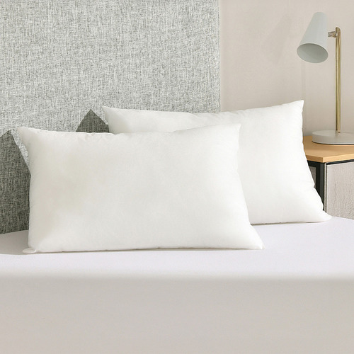 Anna Rectangular Cushion Inserts | Temple & Webster