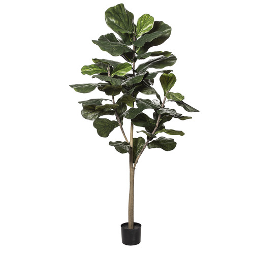 182cm Potted Faux Fiddle Tree | Temple & Webster