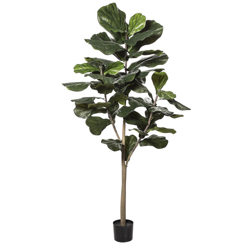 182cm Potted Faux Fiddle Tree | Temple & Webster